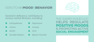 Serotonin: The Facts | Universal Health Products